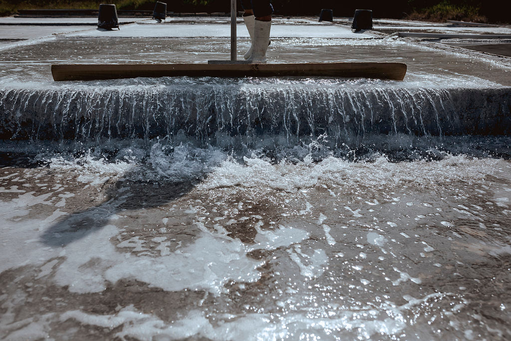 Microplastic Free Spring Salt – Vera Salt